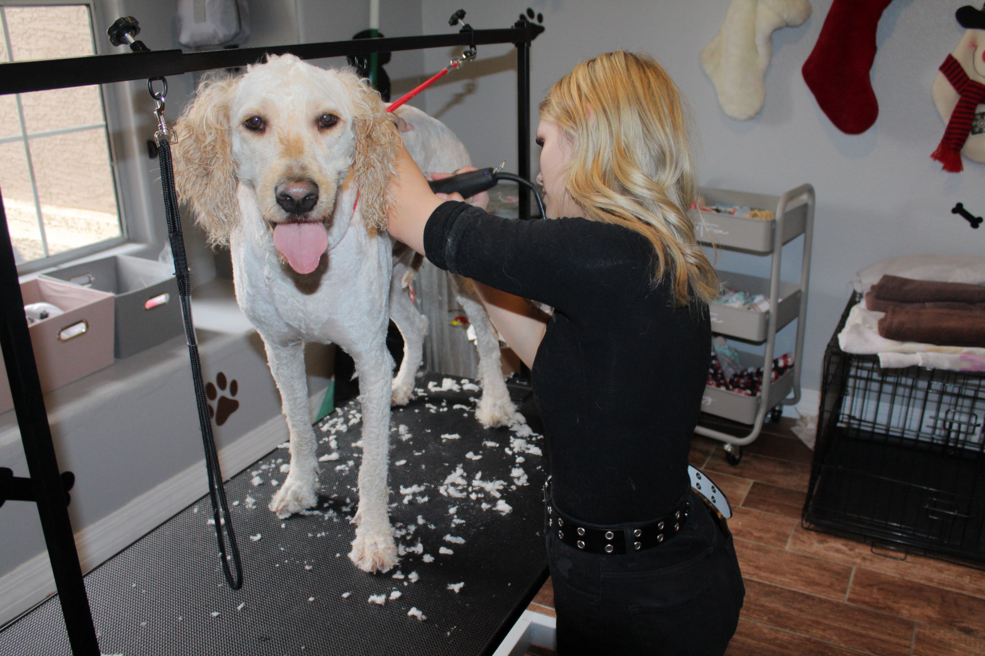 Online booking by GrooMore