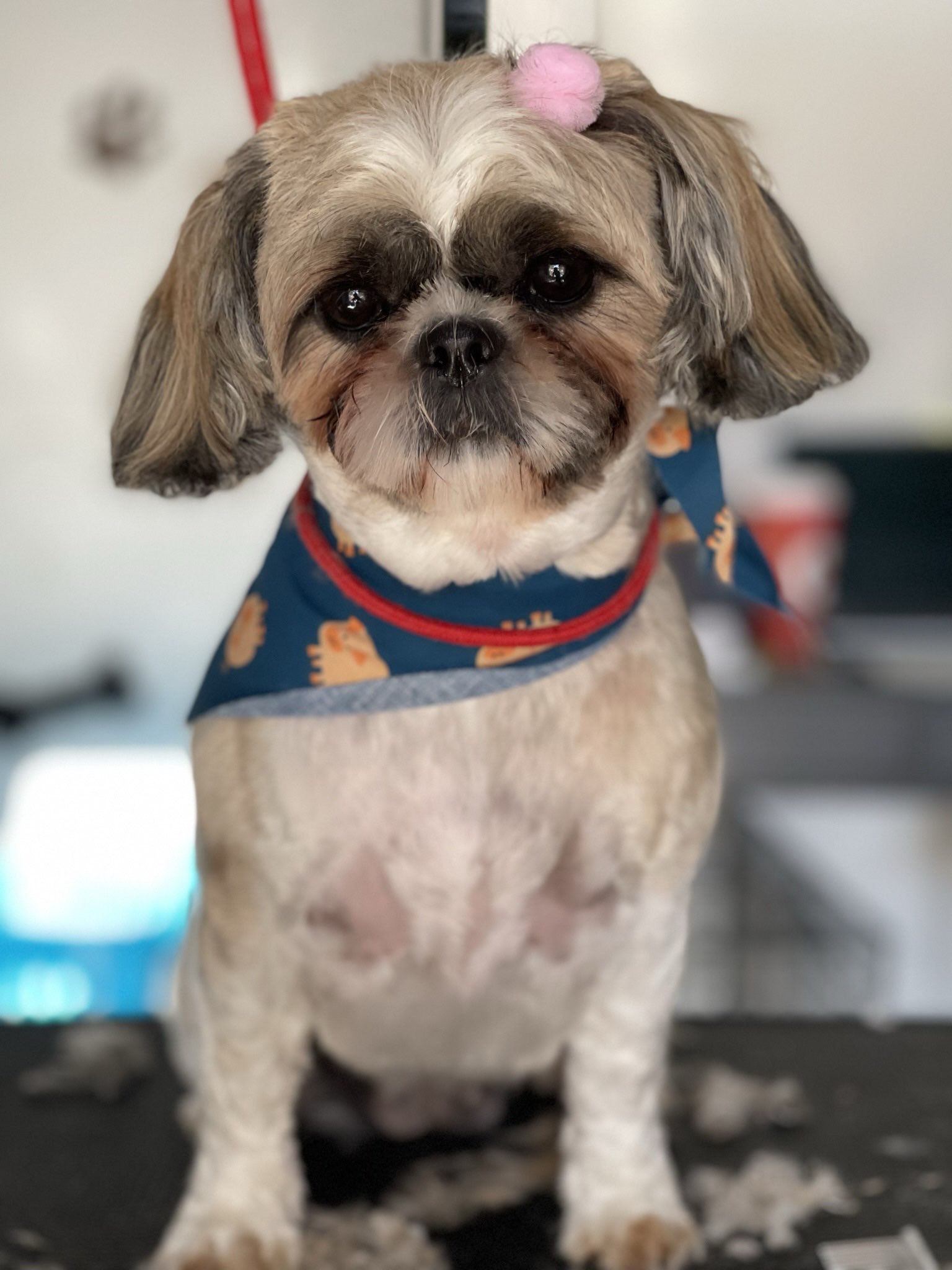 Online booking by GrooMore