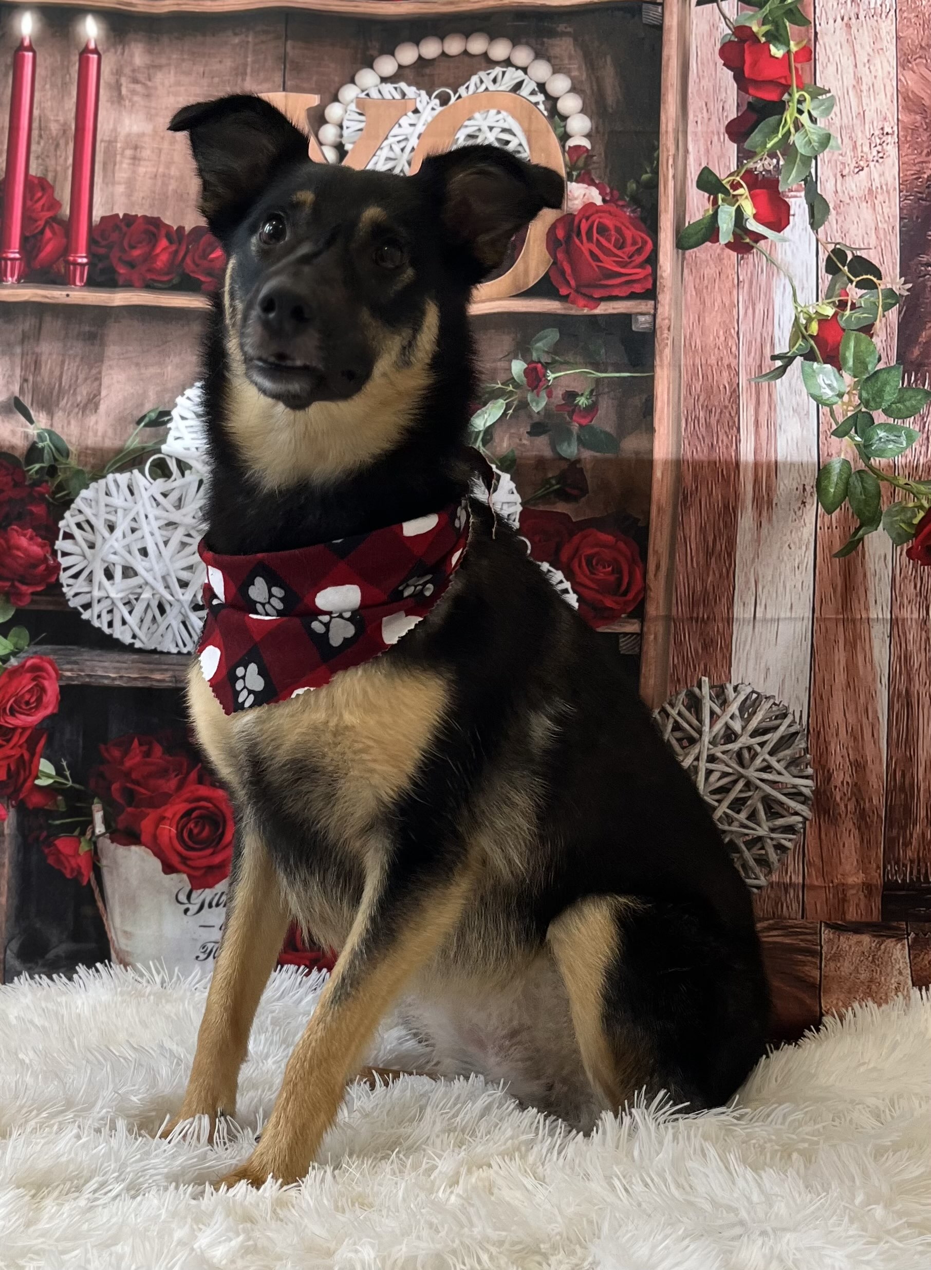 Online booking by GrooMore