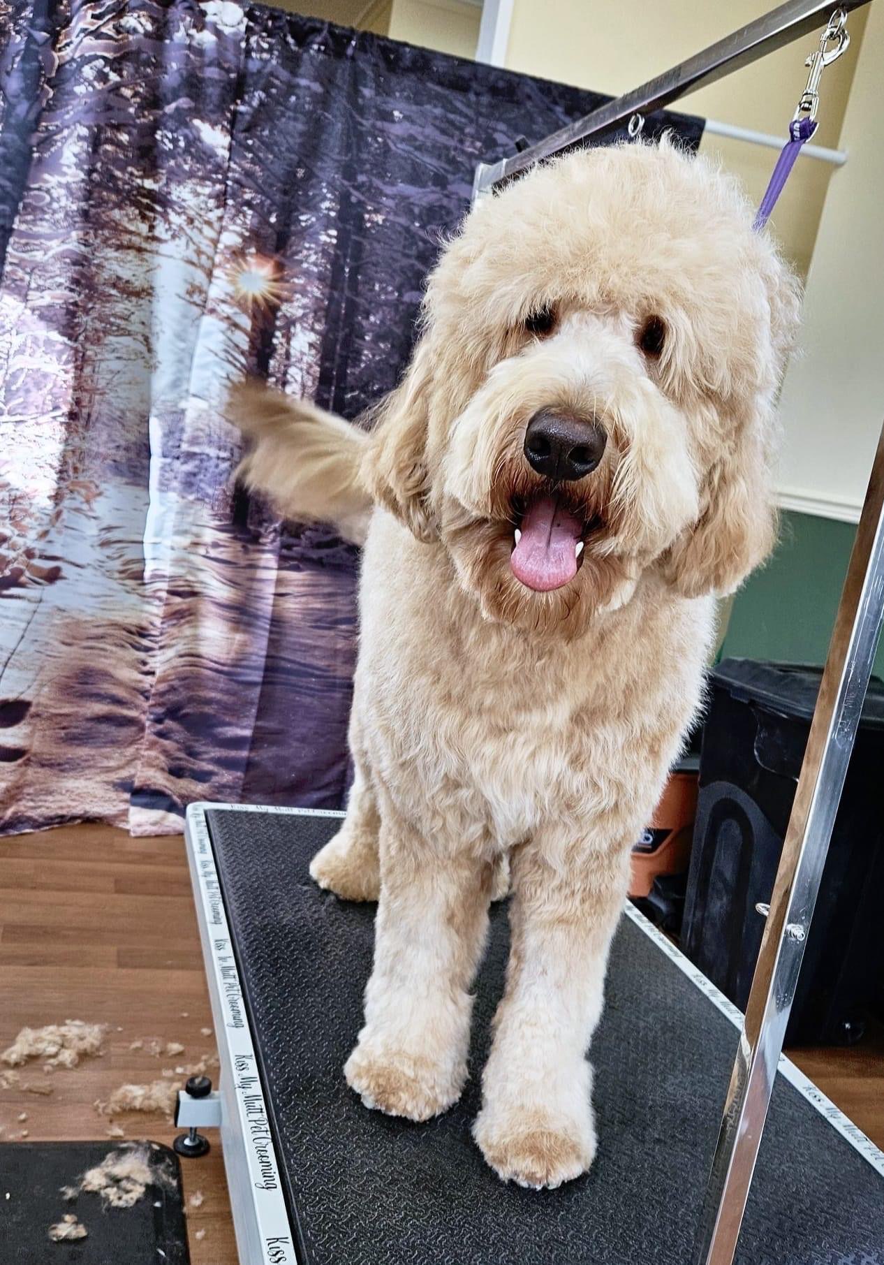 Online booking by GrooMore