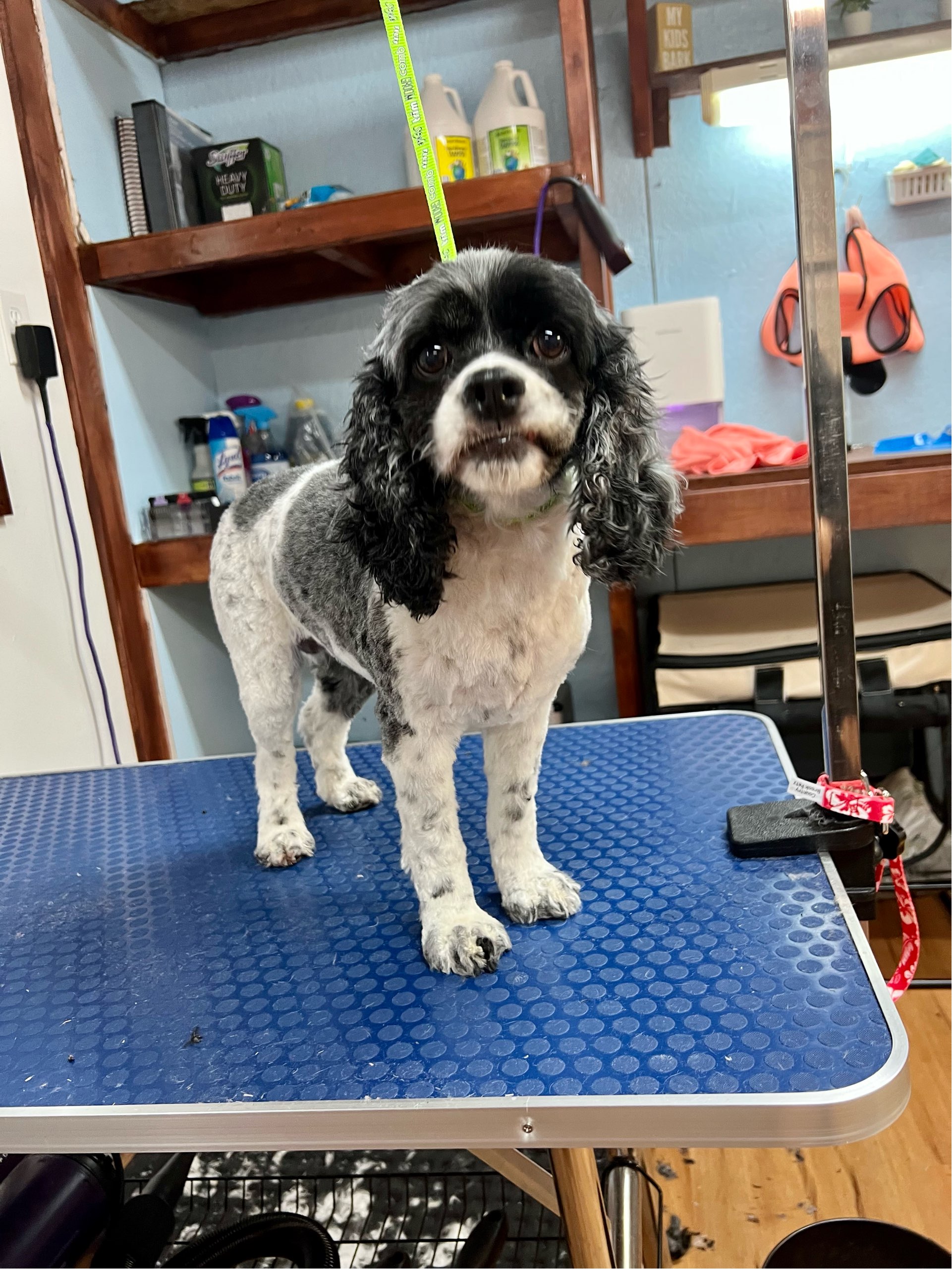 Online booking by GrooMore