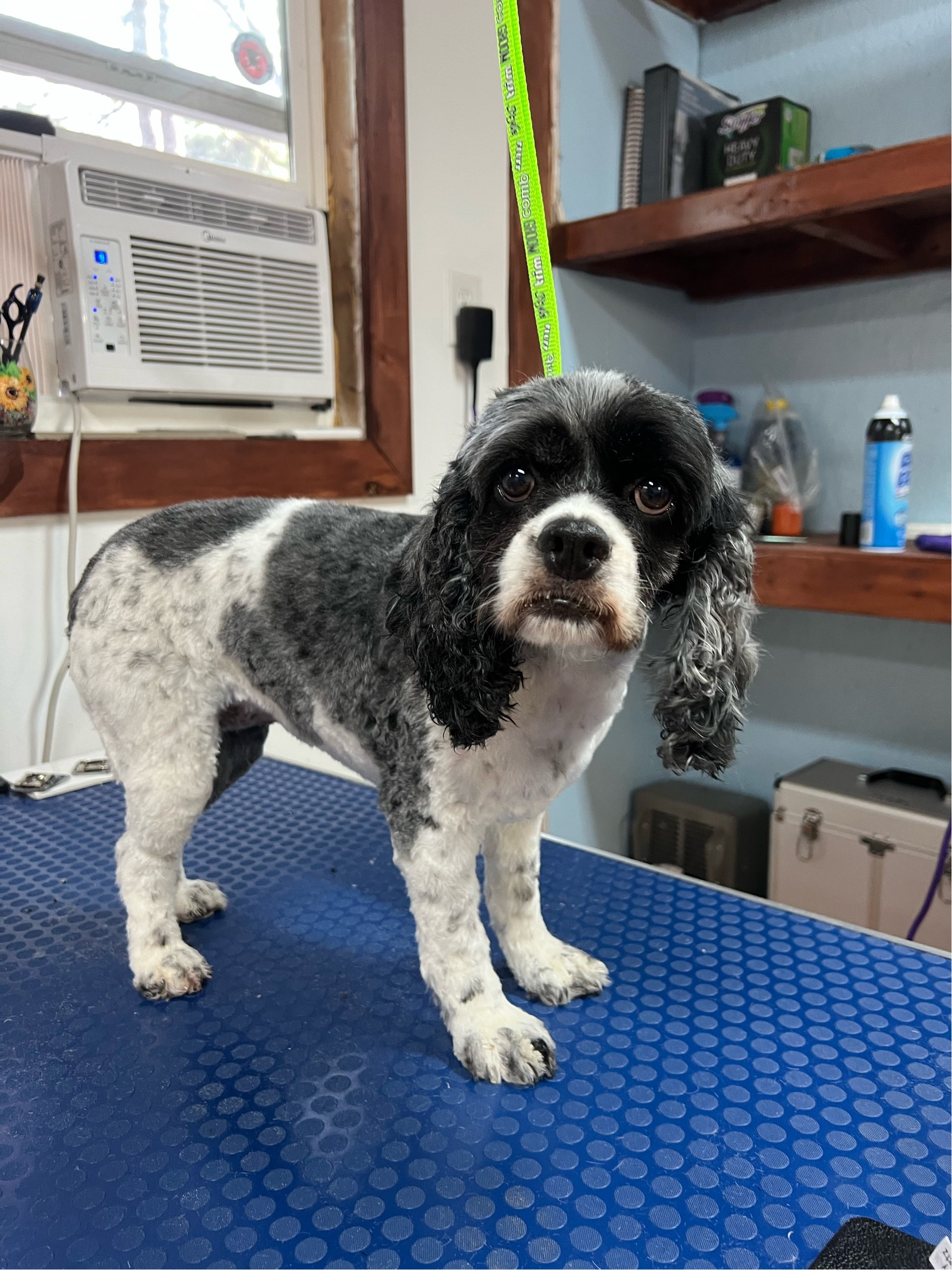 Online booking by GrooMore