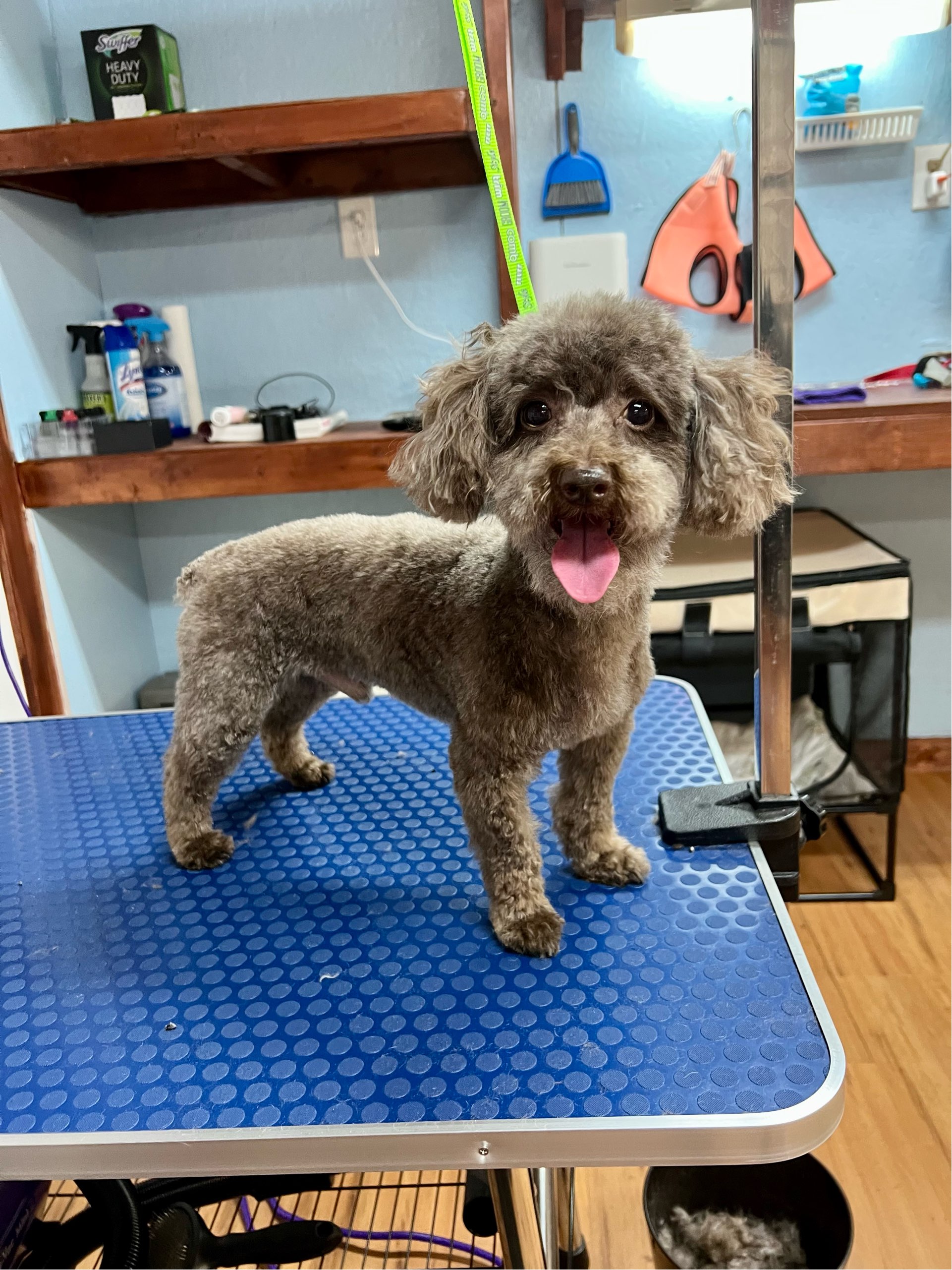 Online booking by GrooMore