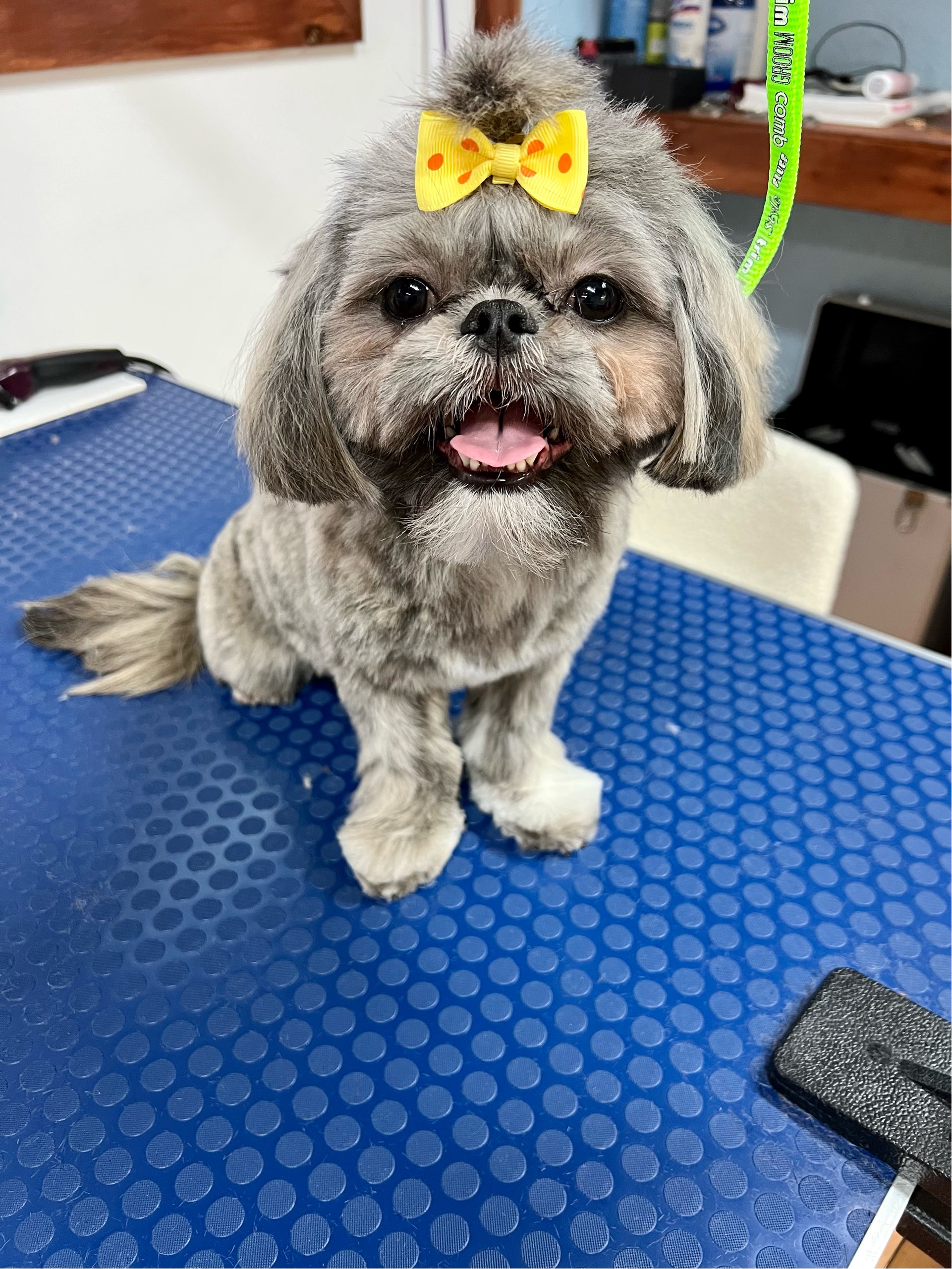 Online booking by GrooMore