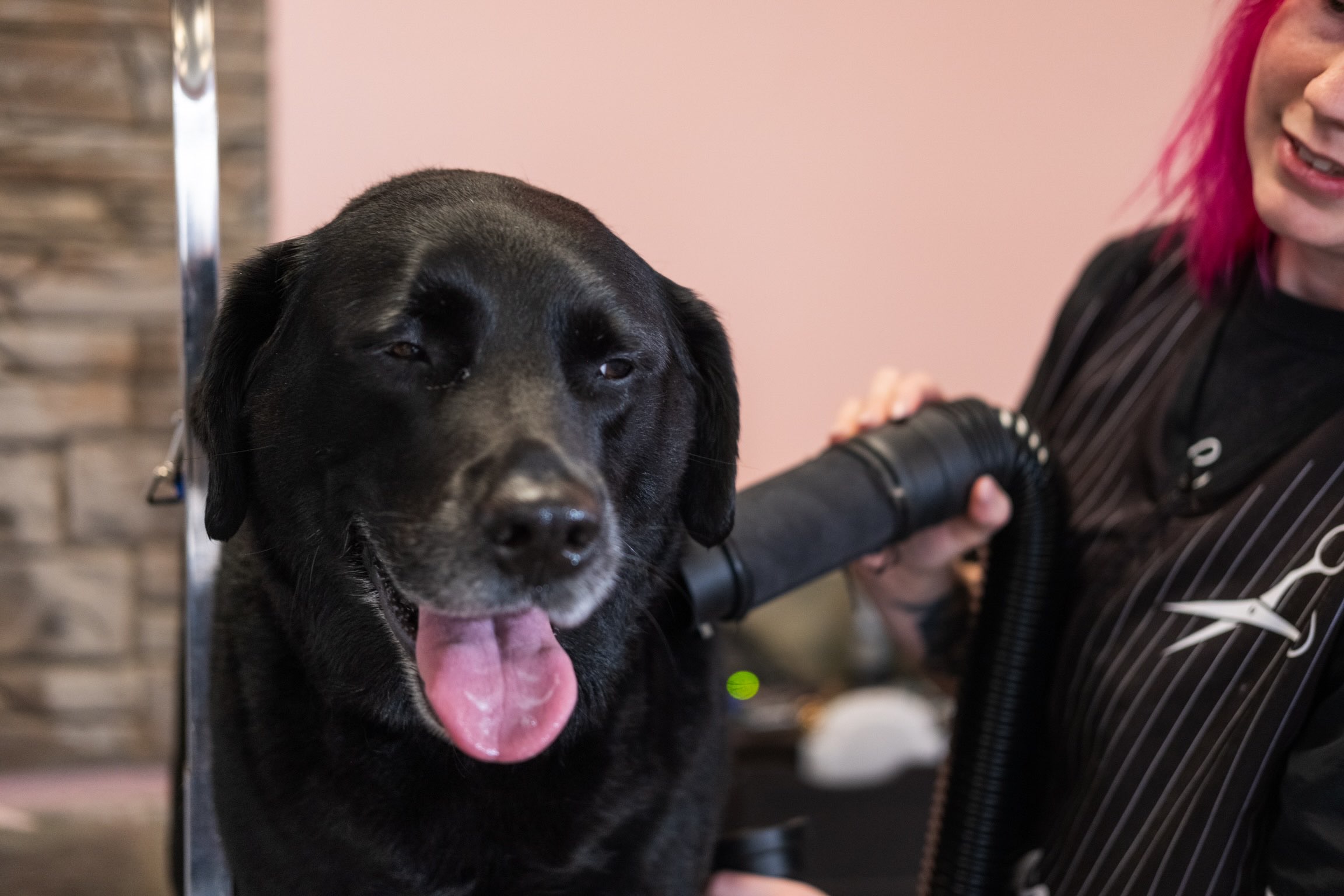 Online booking by GrooMore