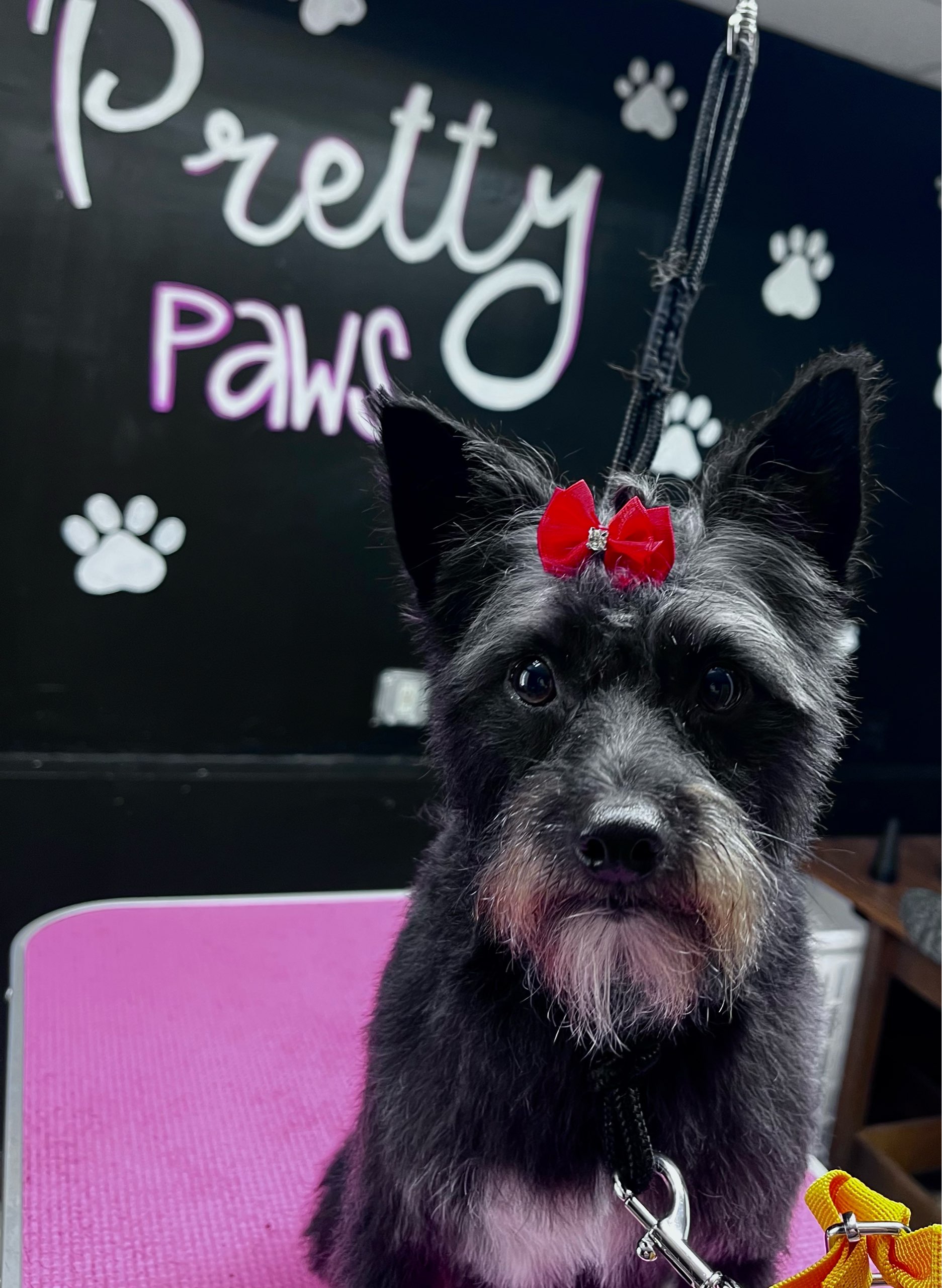 Online booking by GrooMore