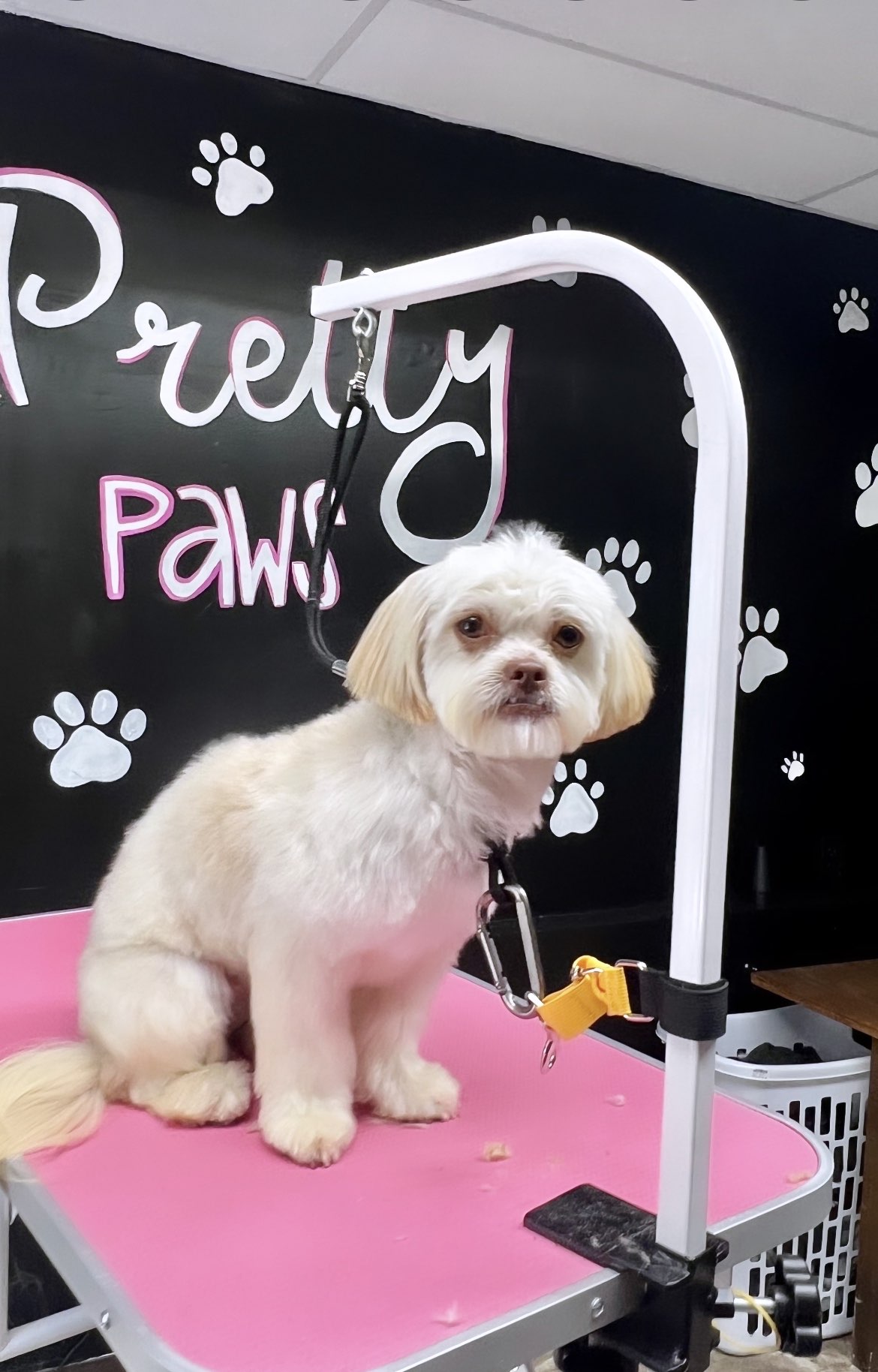 Online booking by GrooMore