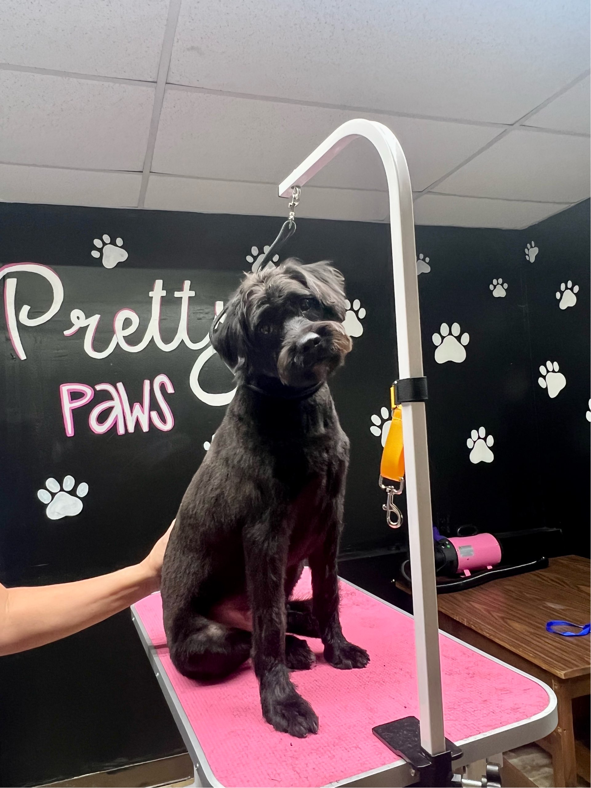 Online booking by GrooMore