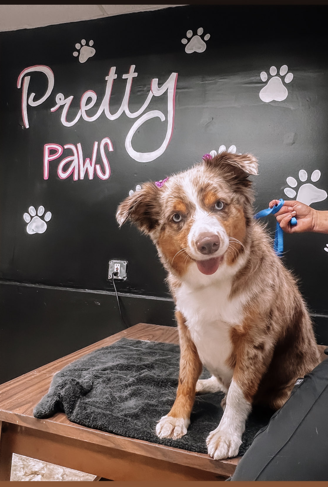 Online booking by GrooMore