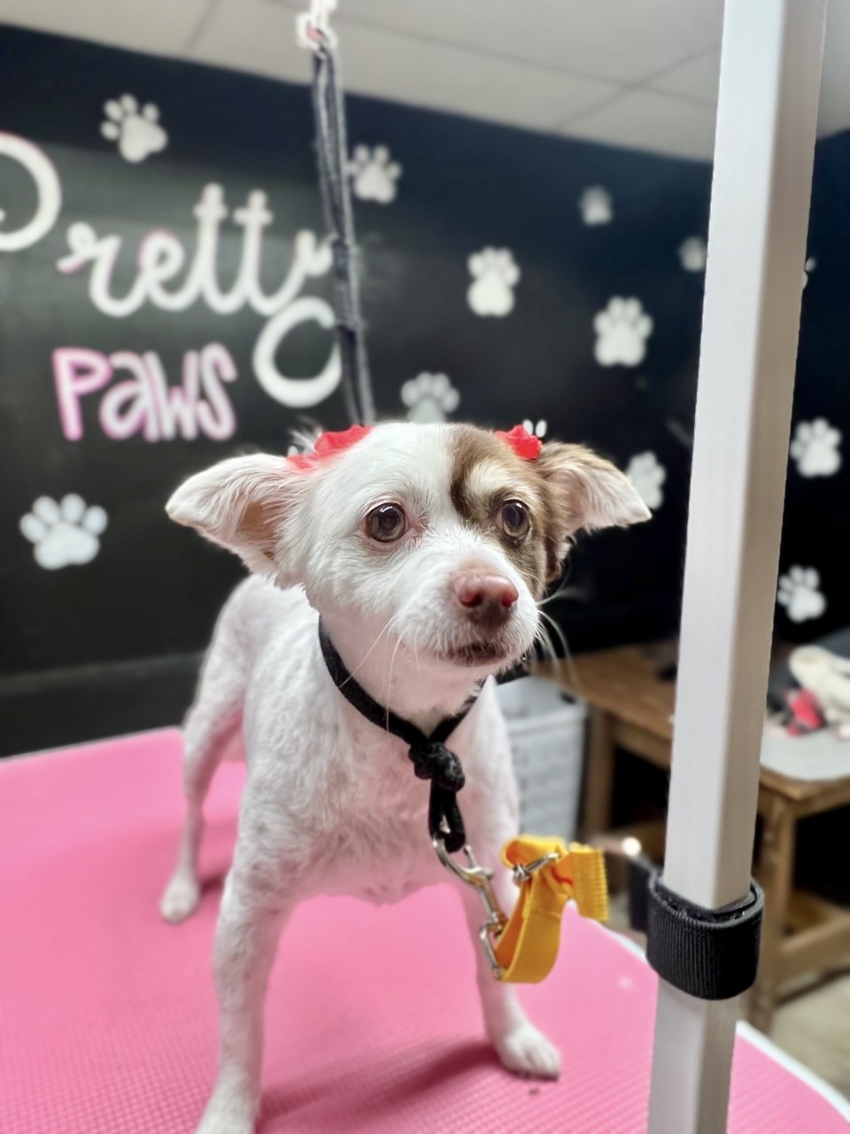 Online booking by GrooMore