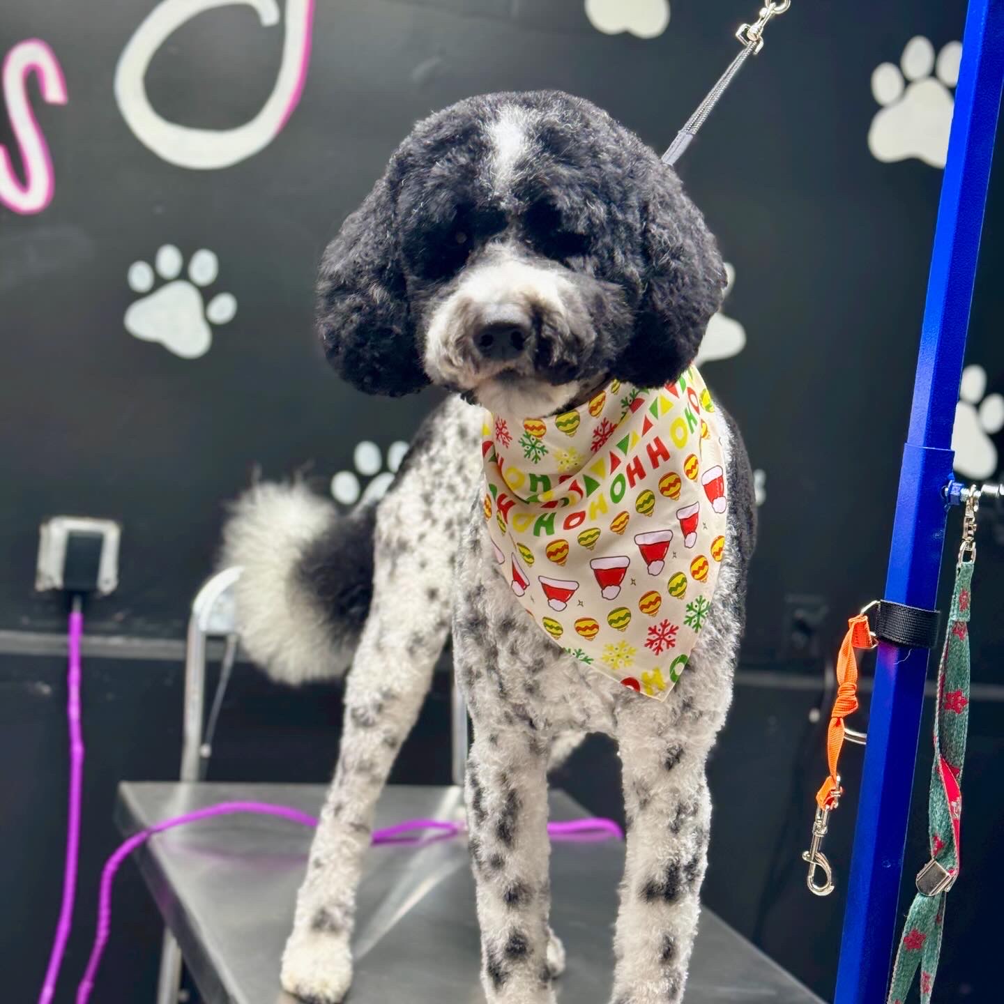 Online booking by GrooMore