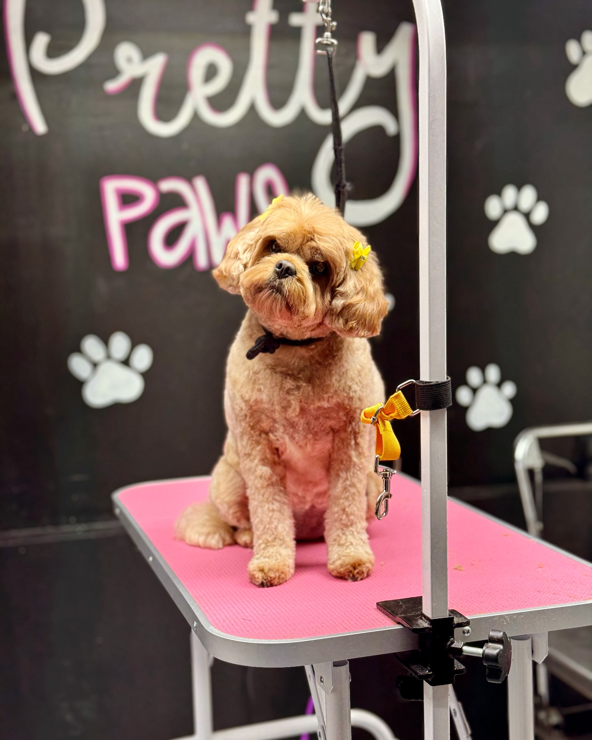 Online booking by GrooMore