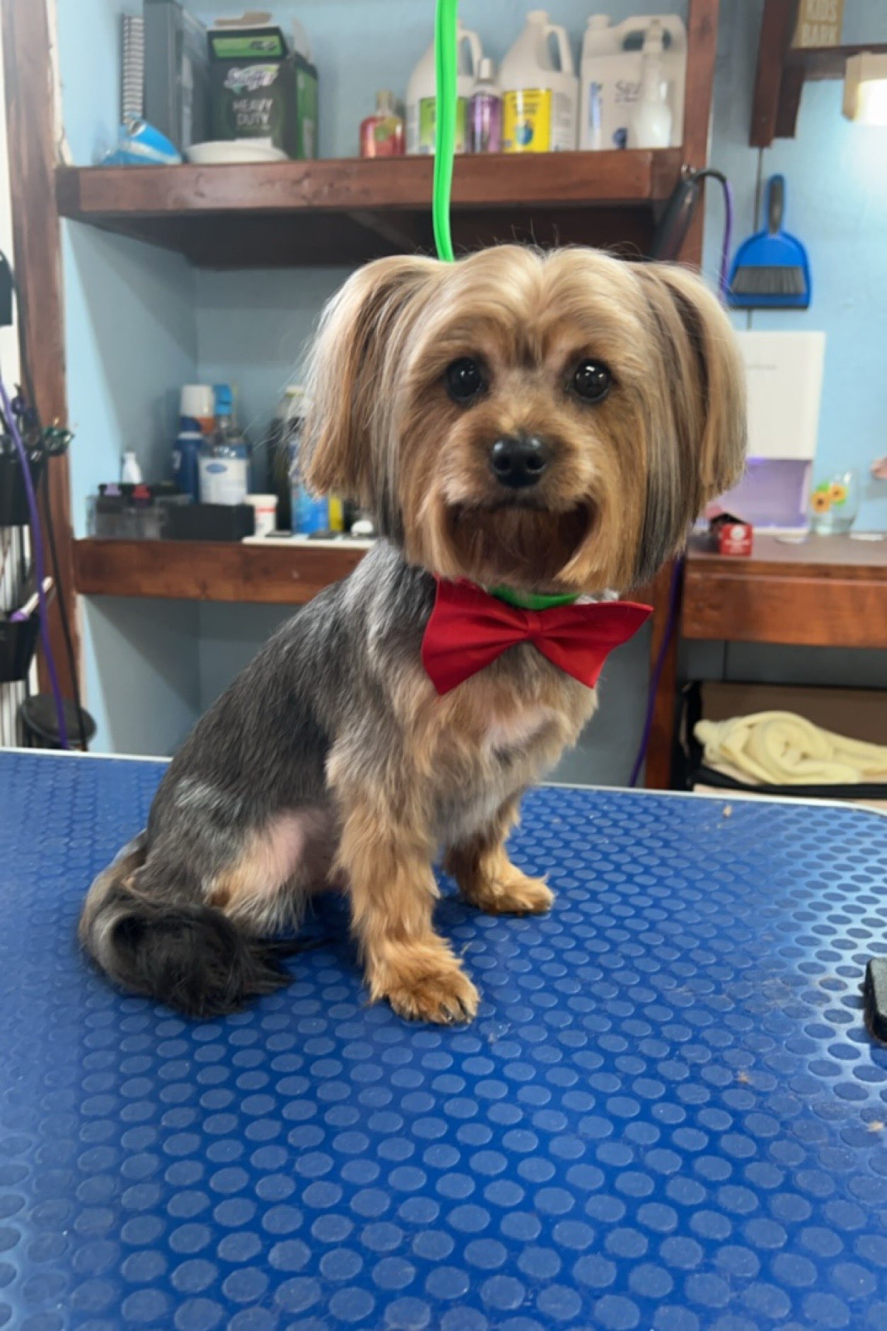 Online booking by GrooMore