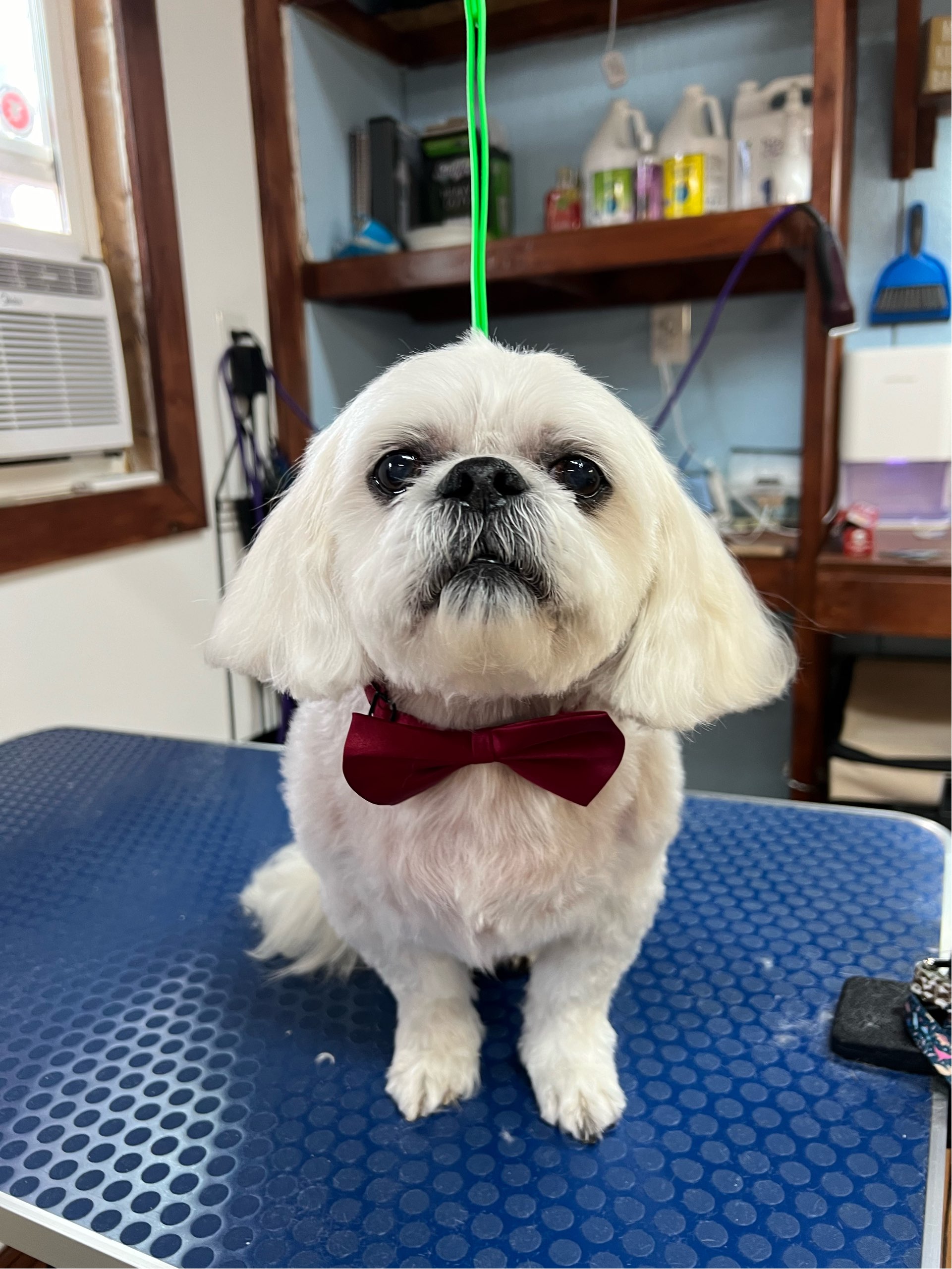 Online booking by GrooMore