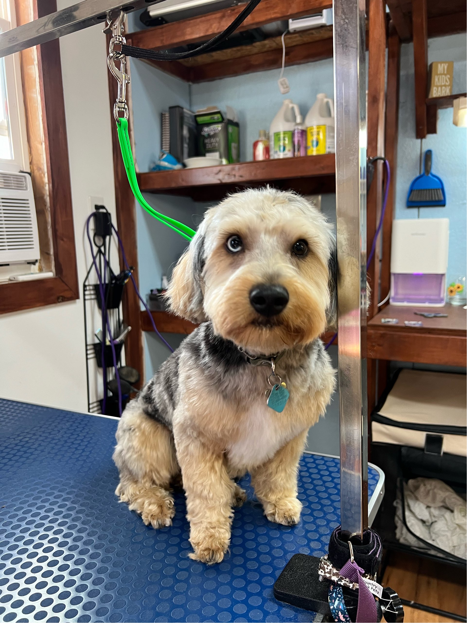 Online booking by GrooMore