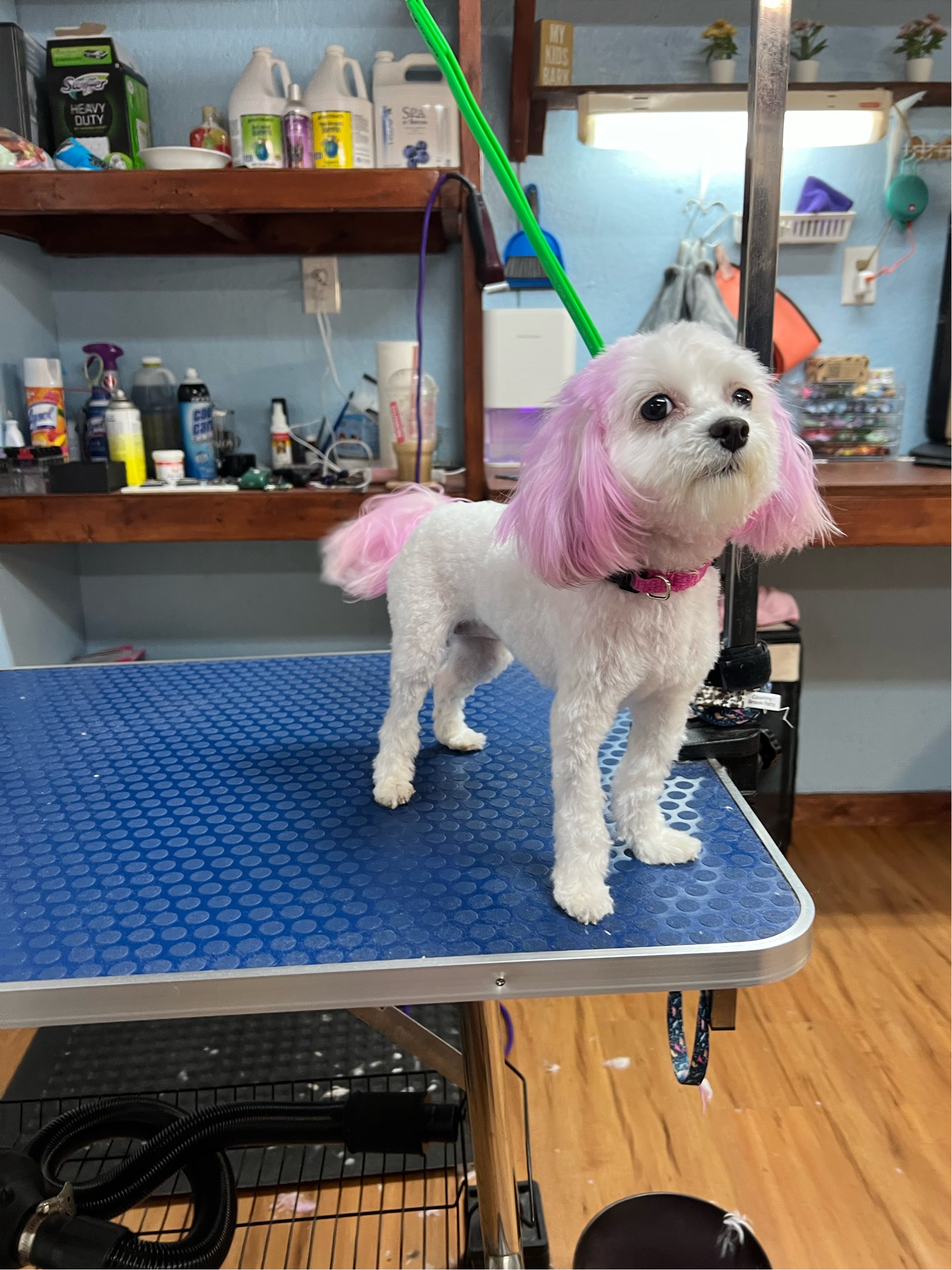 Online booking by GrooMore