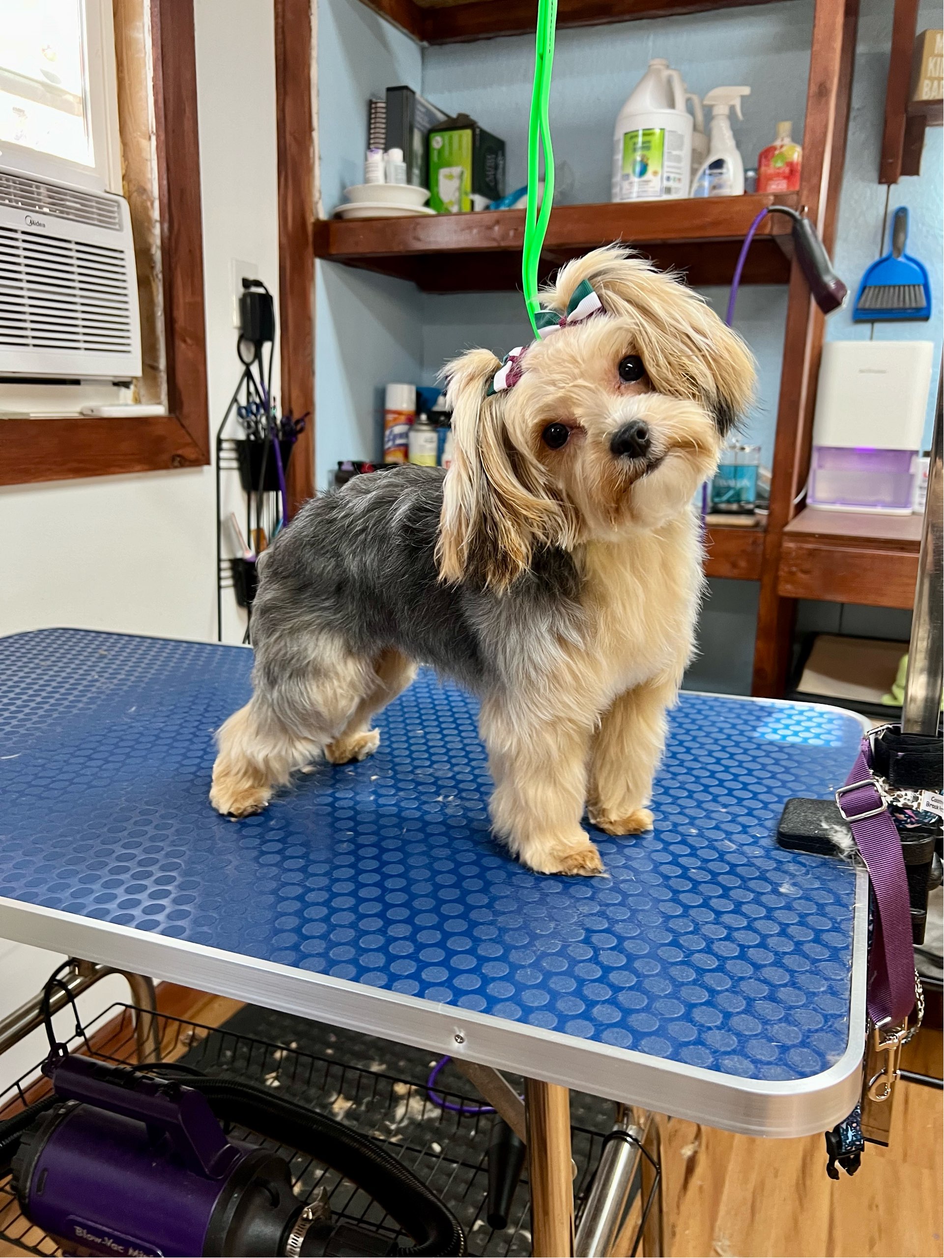 Online booking by GrooMore