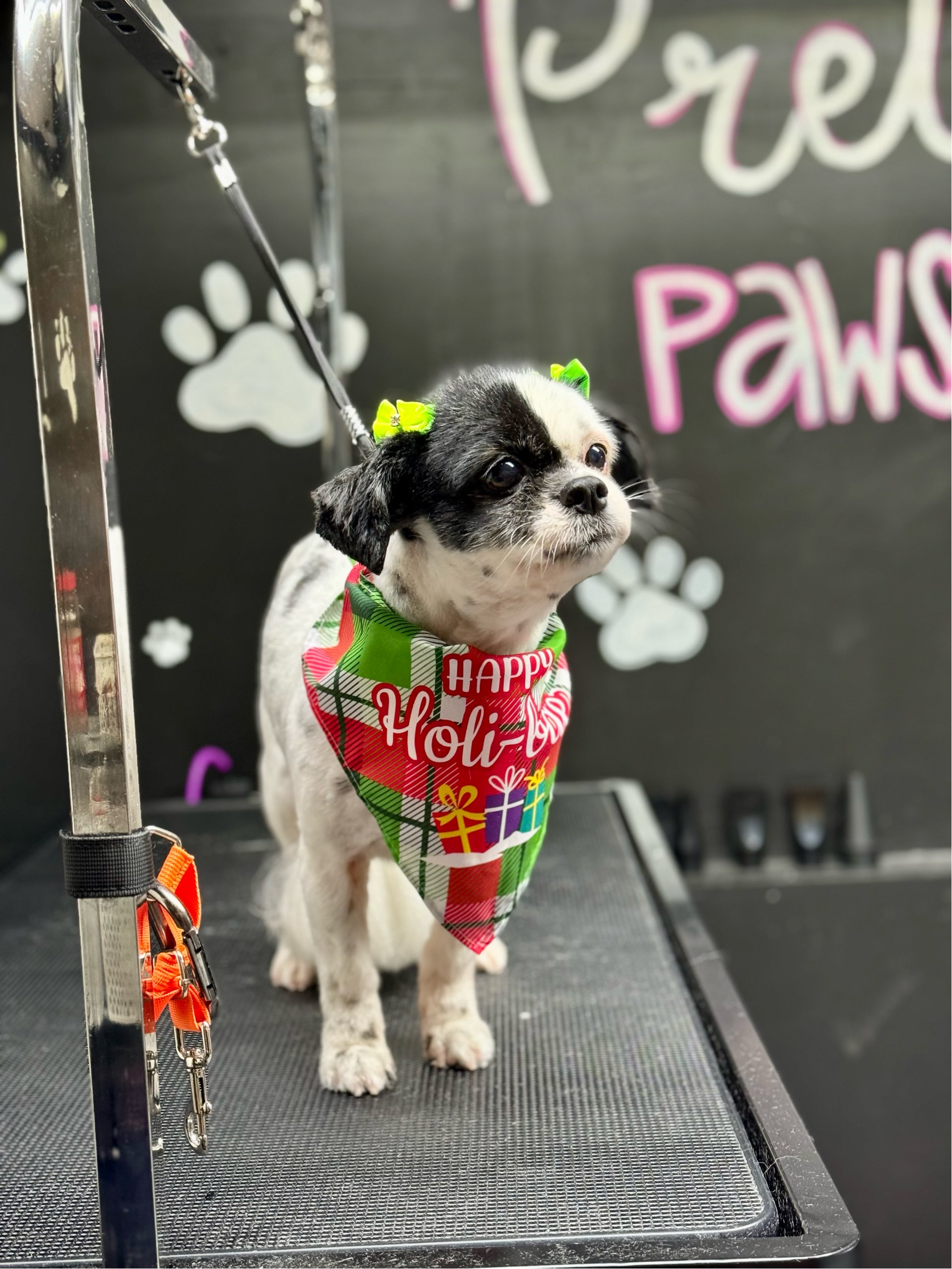 Online booking by GrooMore