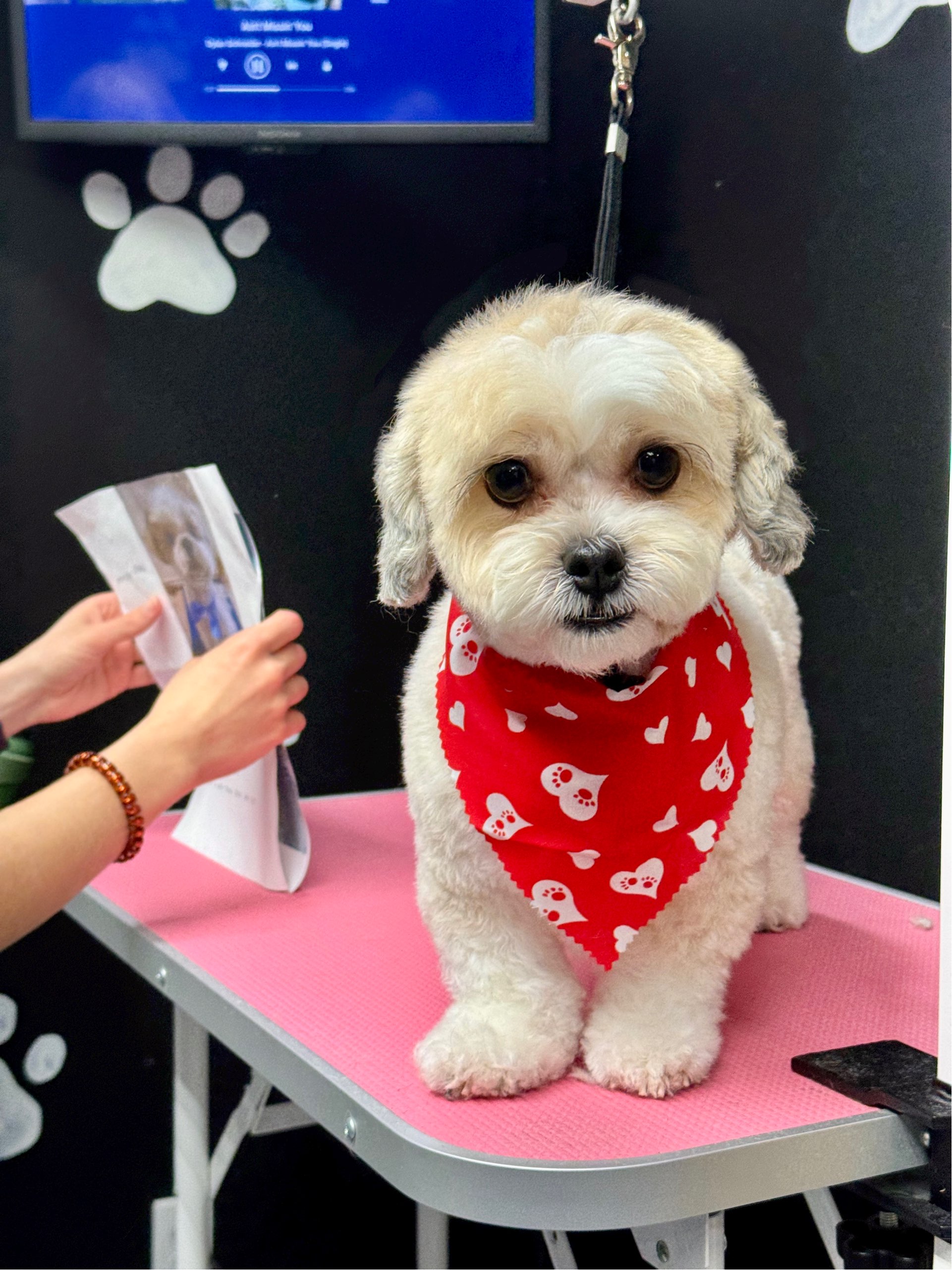 Online booking by GrooMore