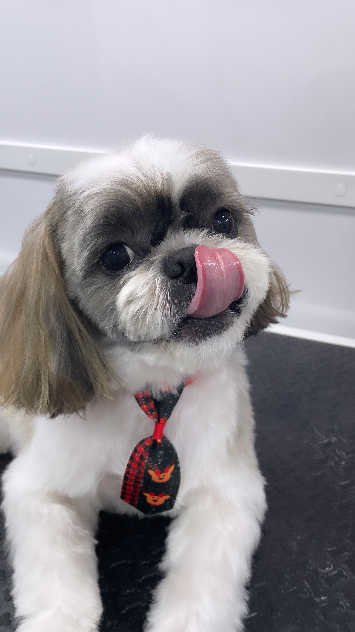 Online booking by GrooMore