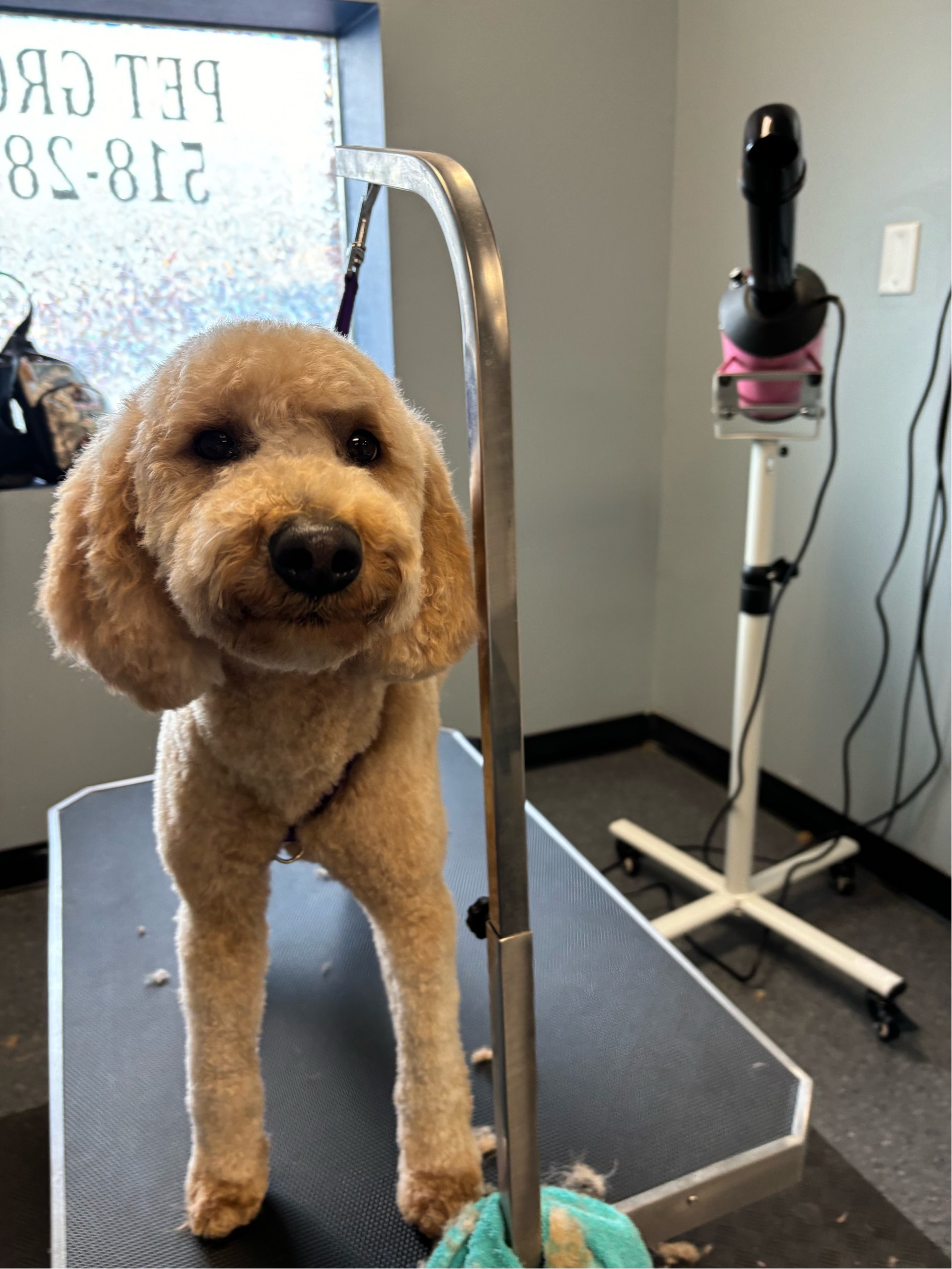 Online booking by GrooMore