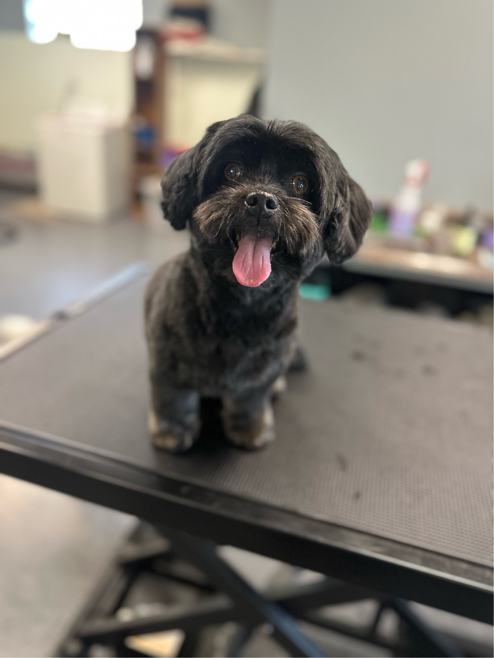 Online booking by GrooMore