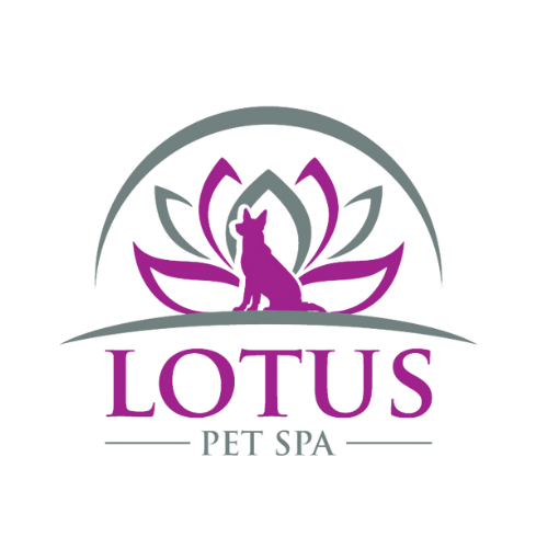 Online booking by GrooMore