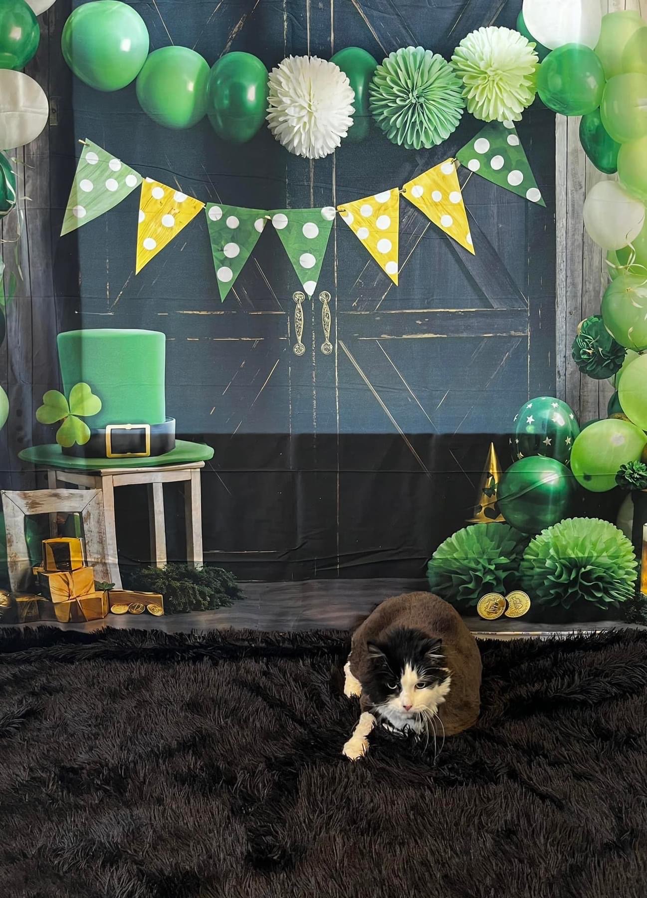 Online booking by GrooMore