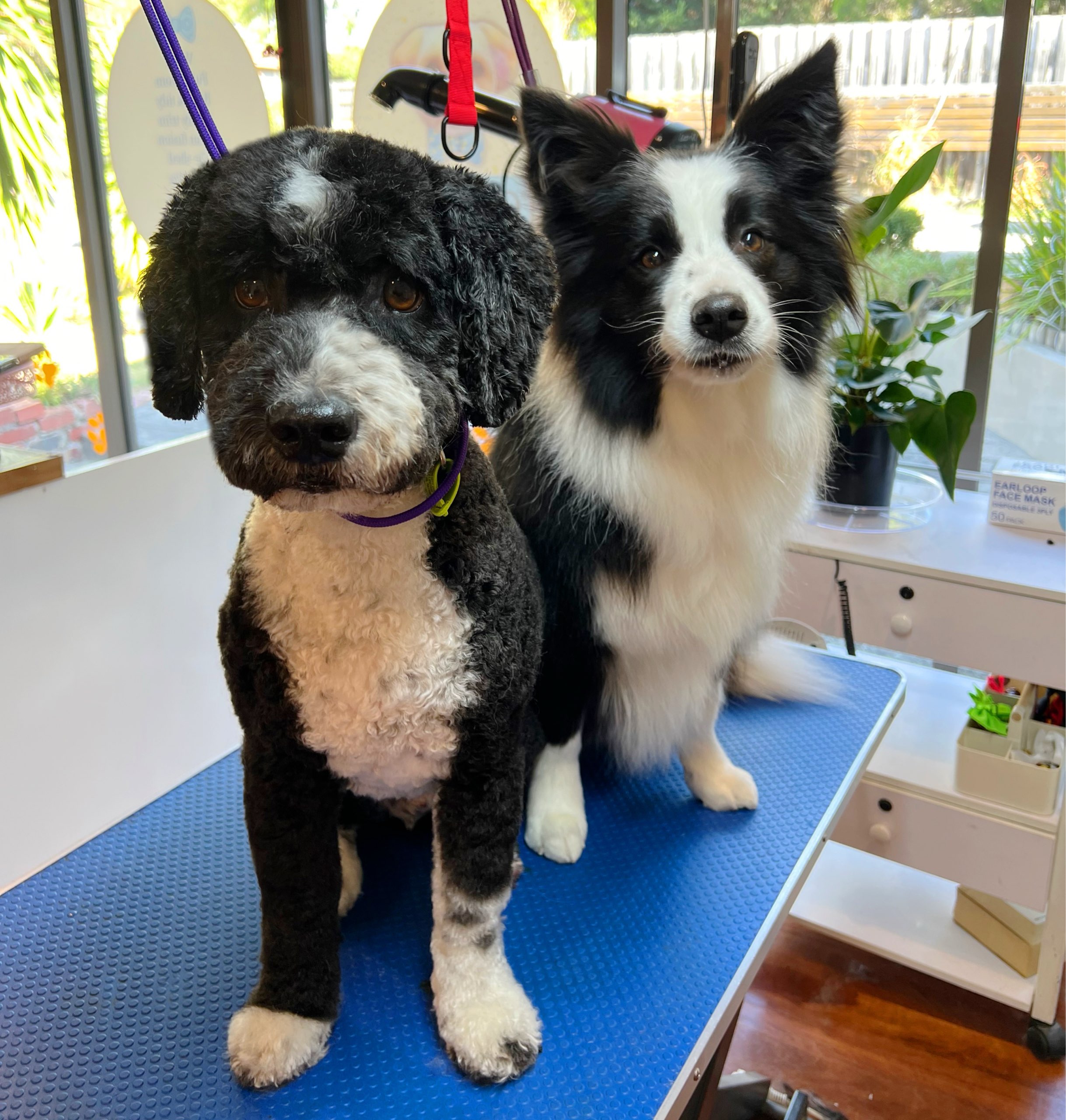 Online booking by GrooMore