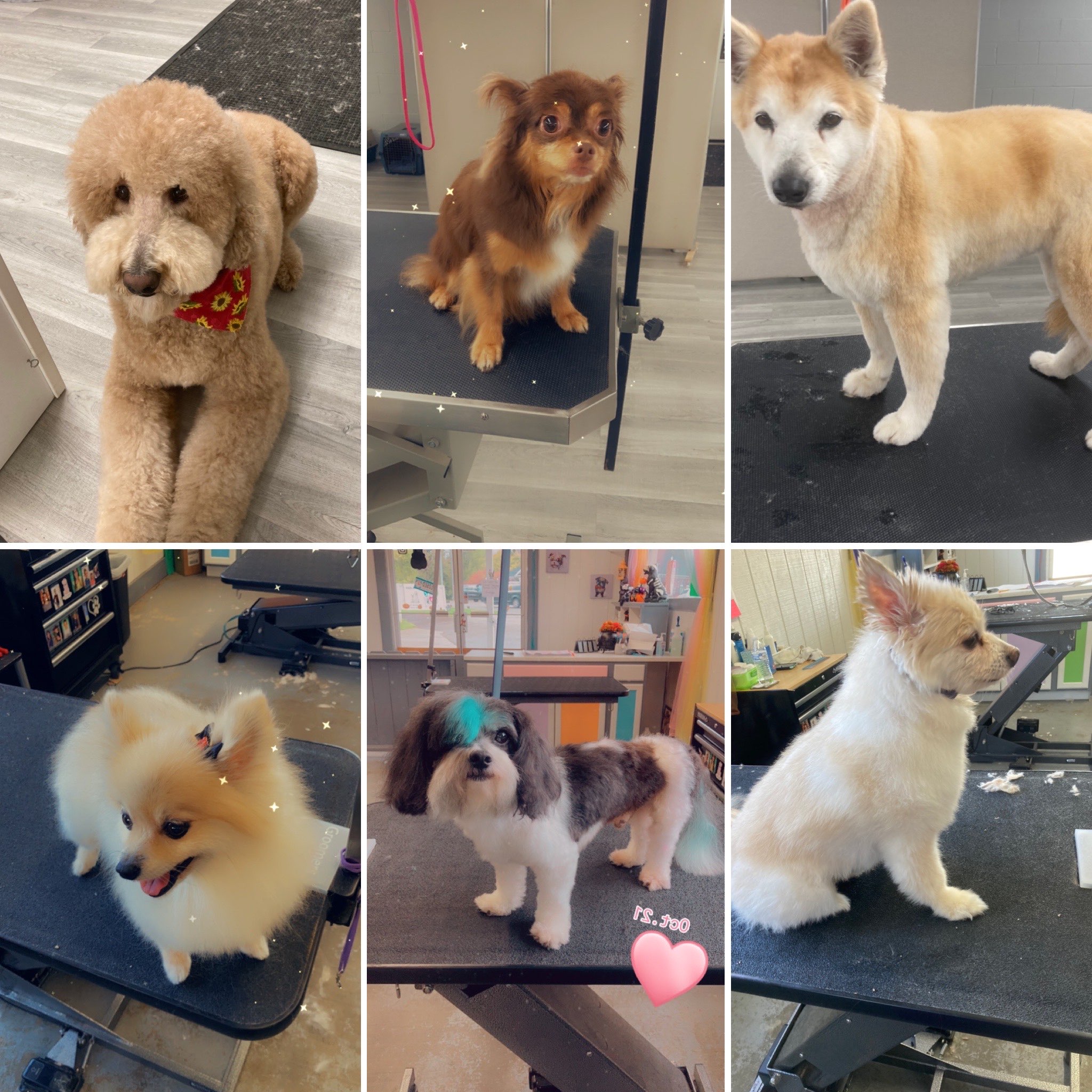 Online booking by GrooMore