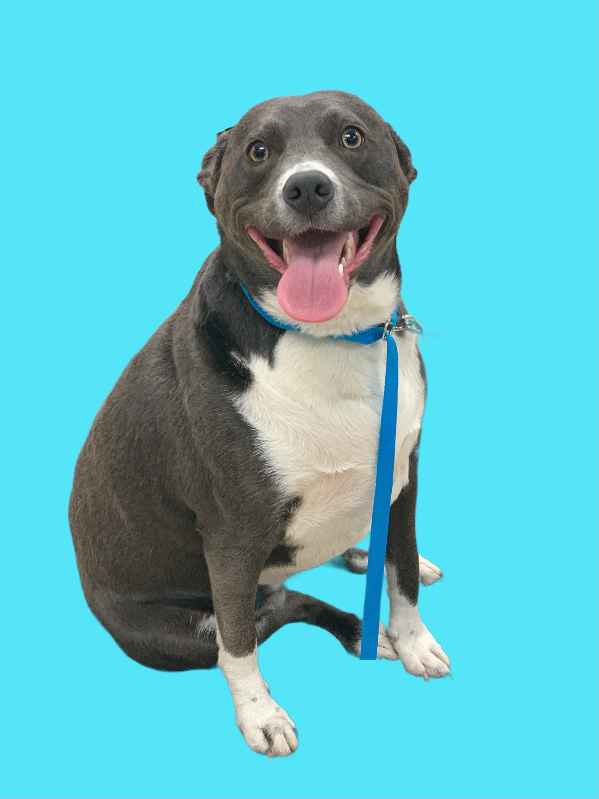 Online booking by GrooMore