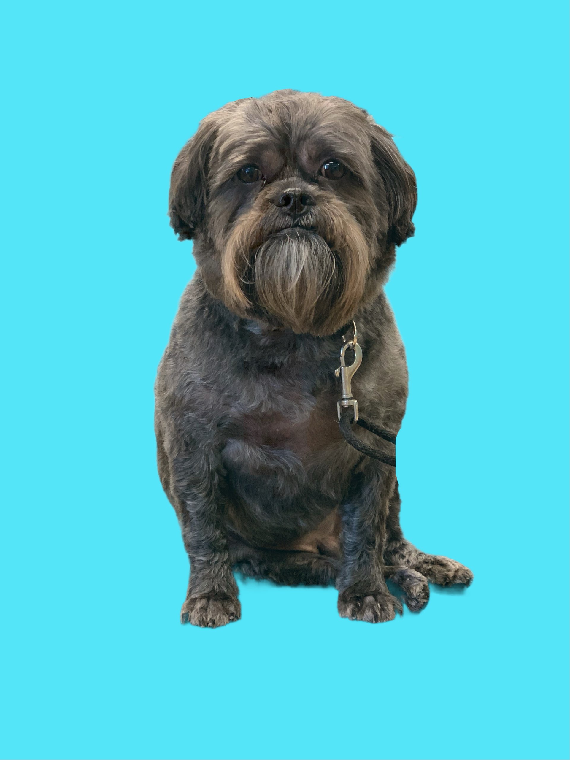 Online booking by GrooMore