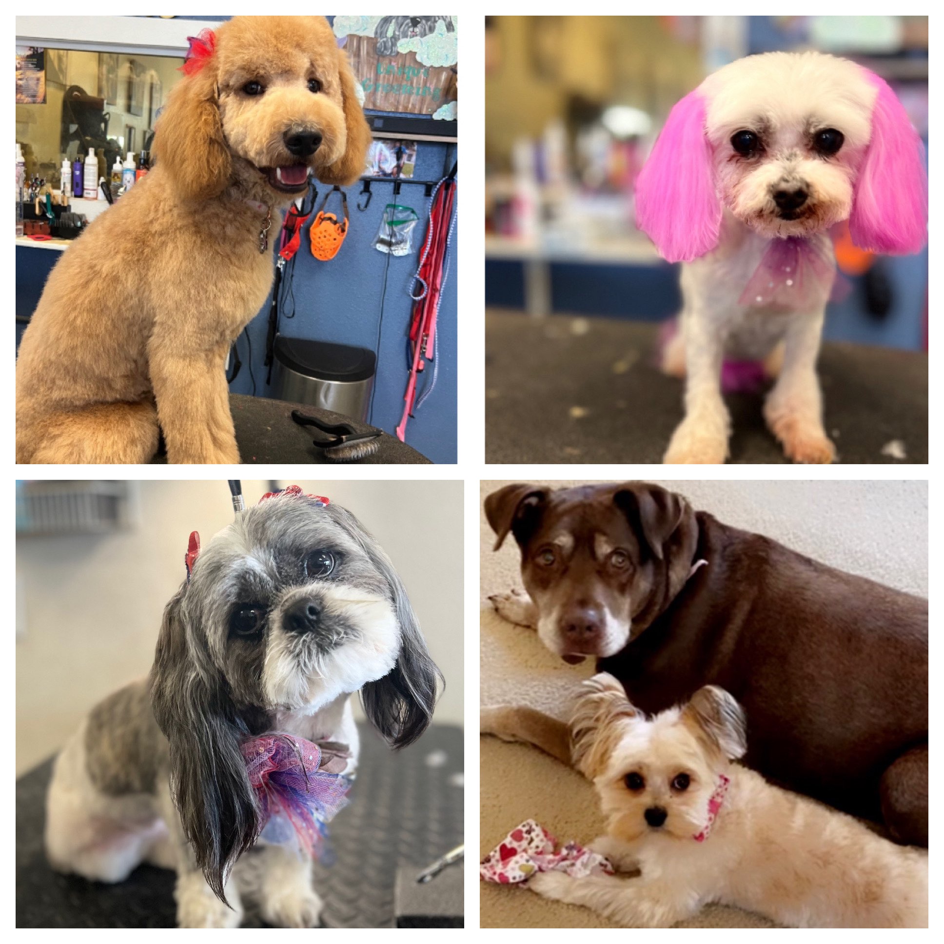 Online booking by GrooMore