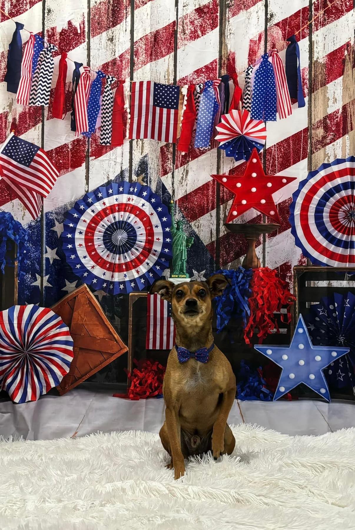 Online booking by GrooMore