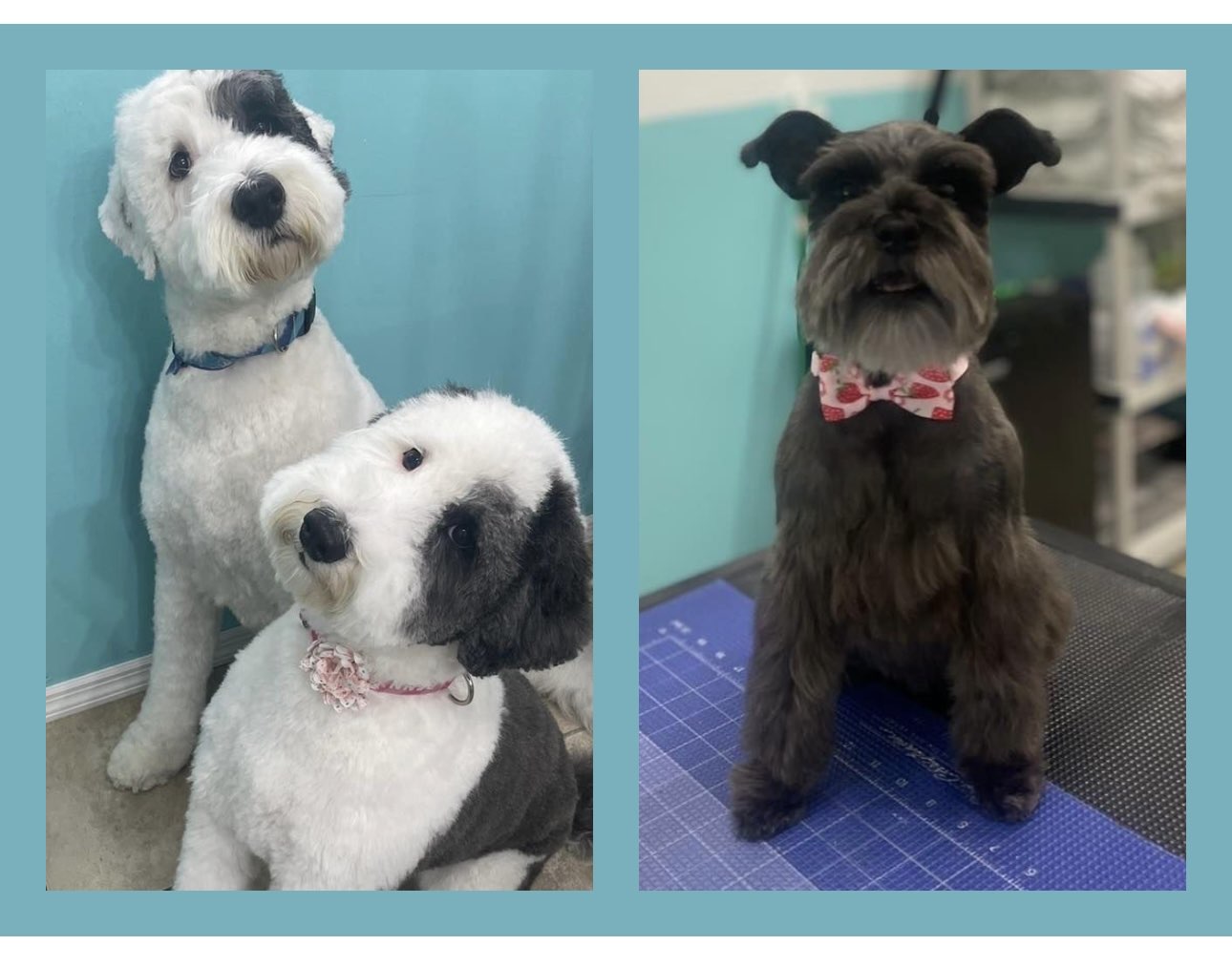 Online booking by GrooMore