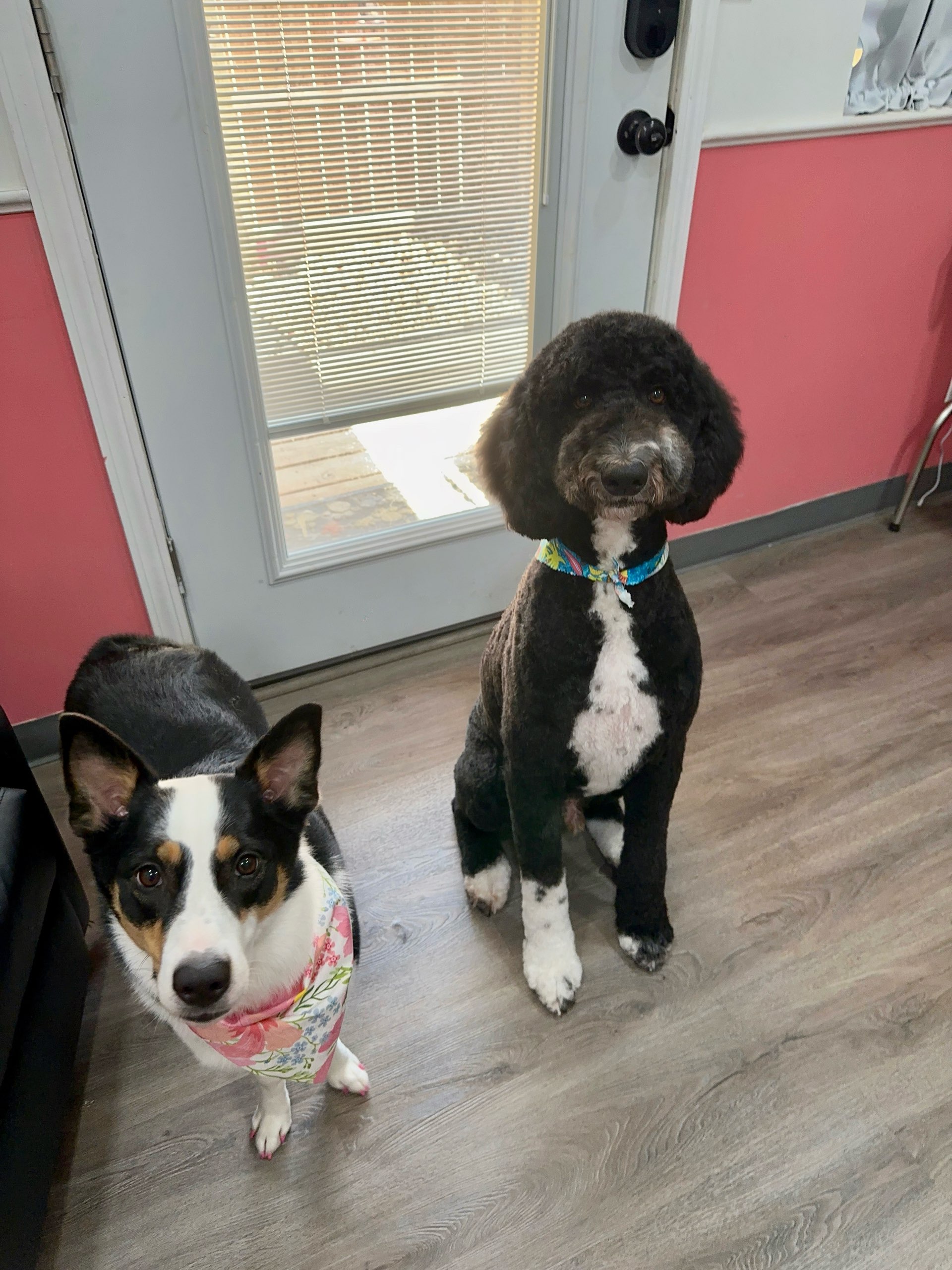 Online booking by GrooMore