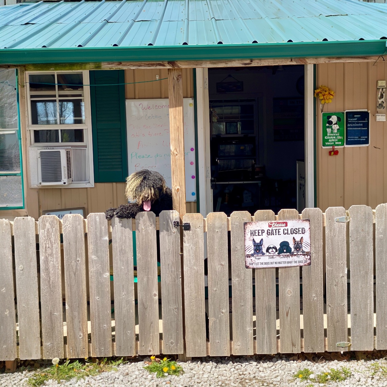 Online booking by GrooMore