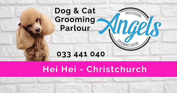 Online booking by GrooMore