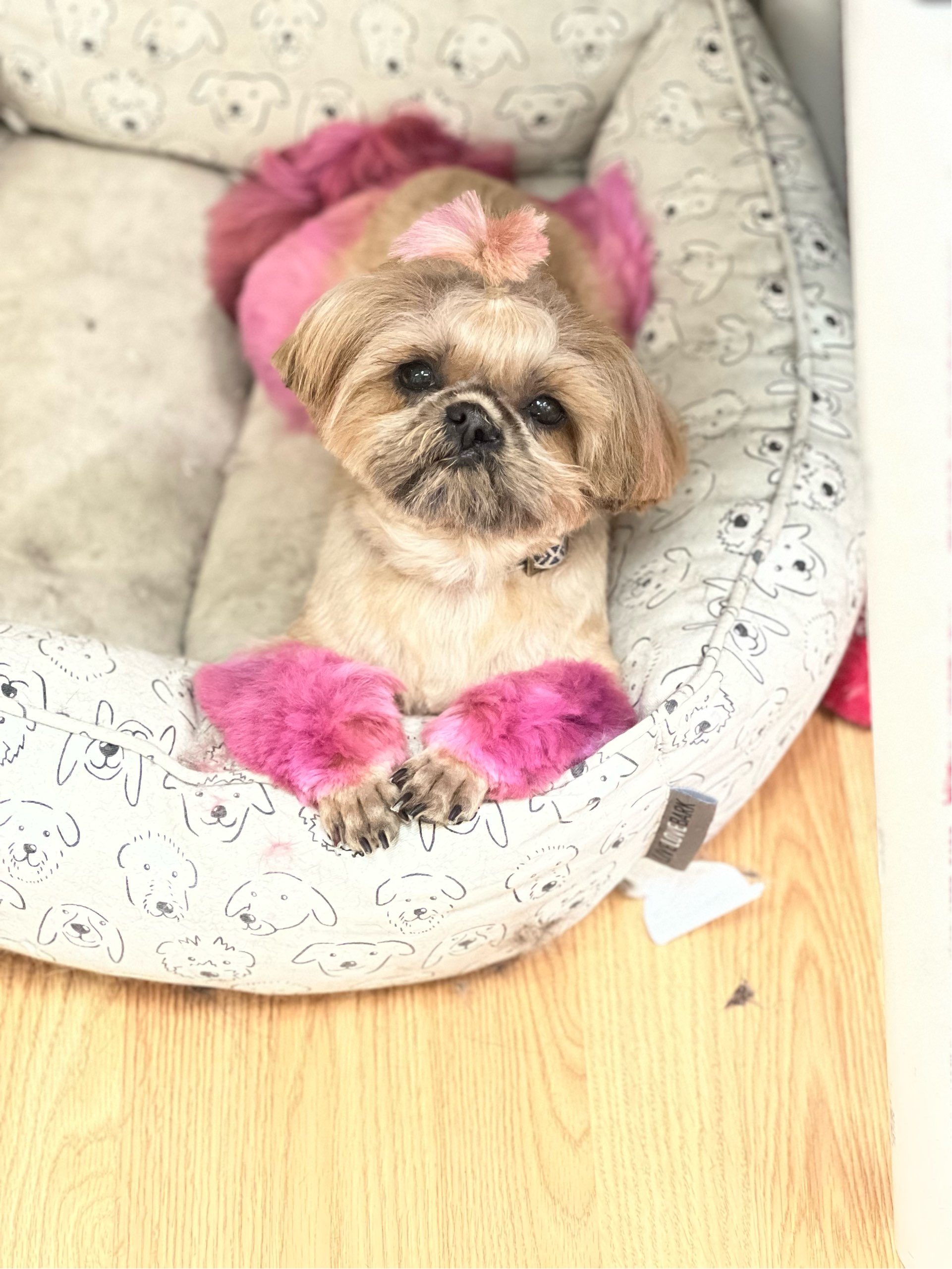 Online booking by GrooMore