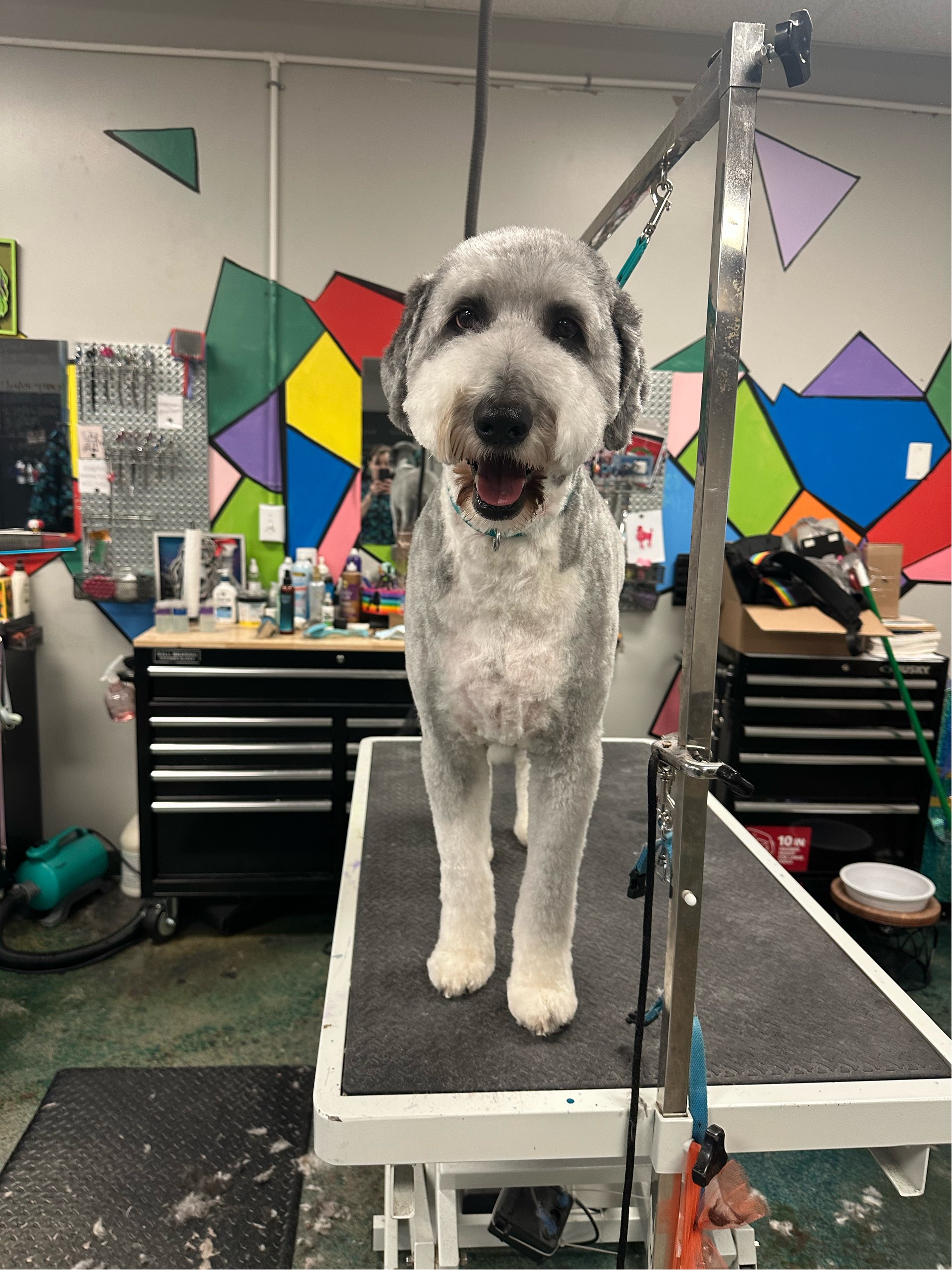 Online booking by GrooMore